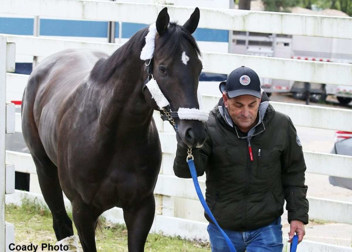 'A Lot Of Confidence': Eight Rings To Start 3-Year-Old Season In April ...