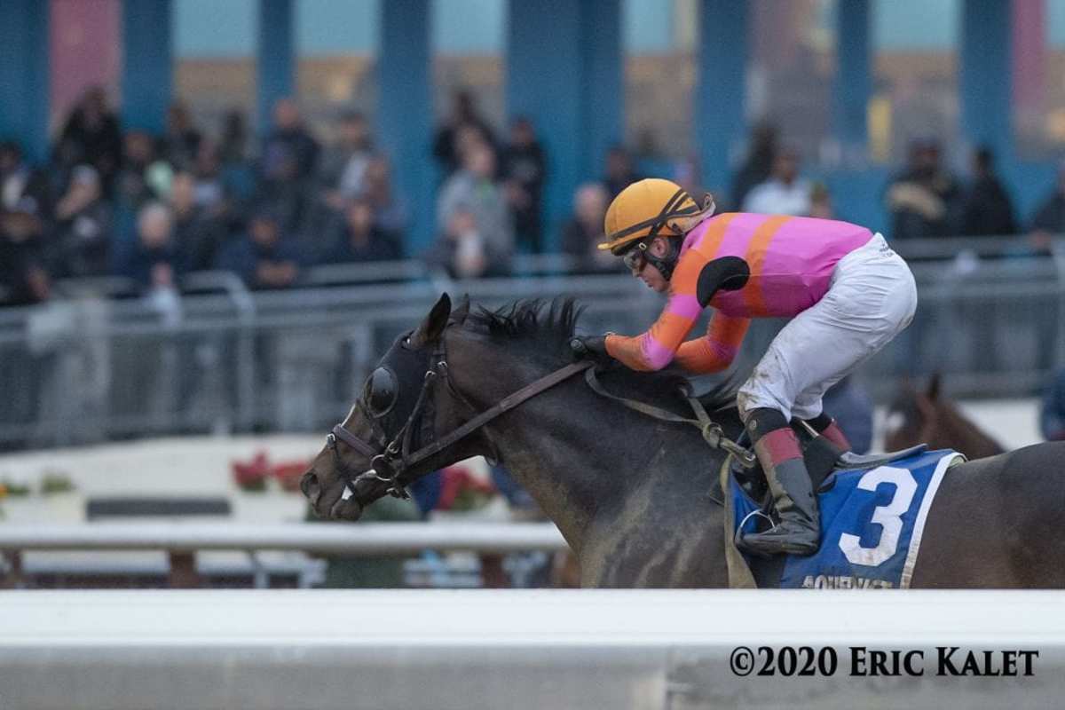 Max Player Back On The Work Tab, 'Training Towards The Wood' - Paulick ...