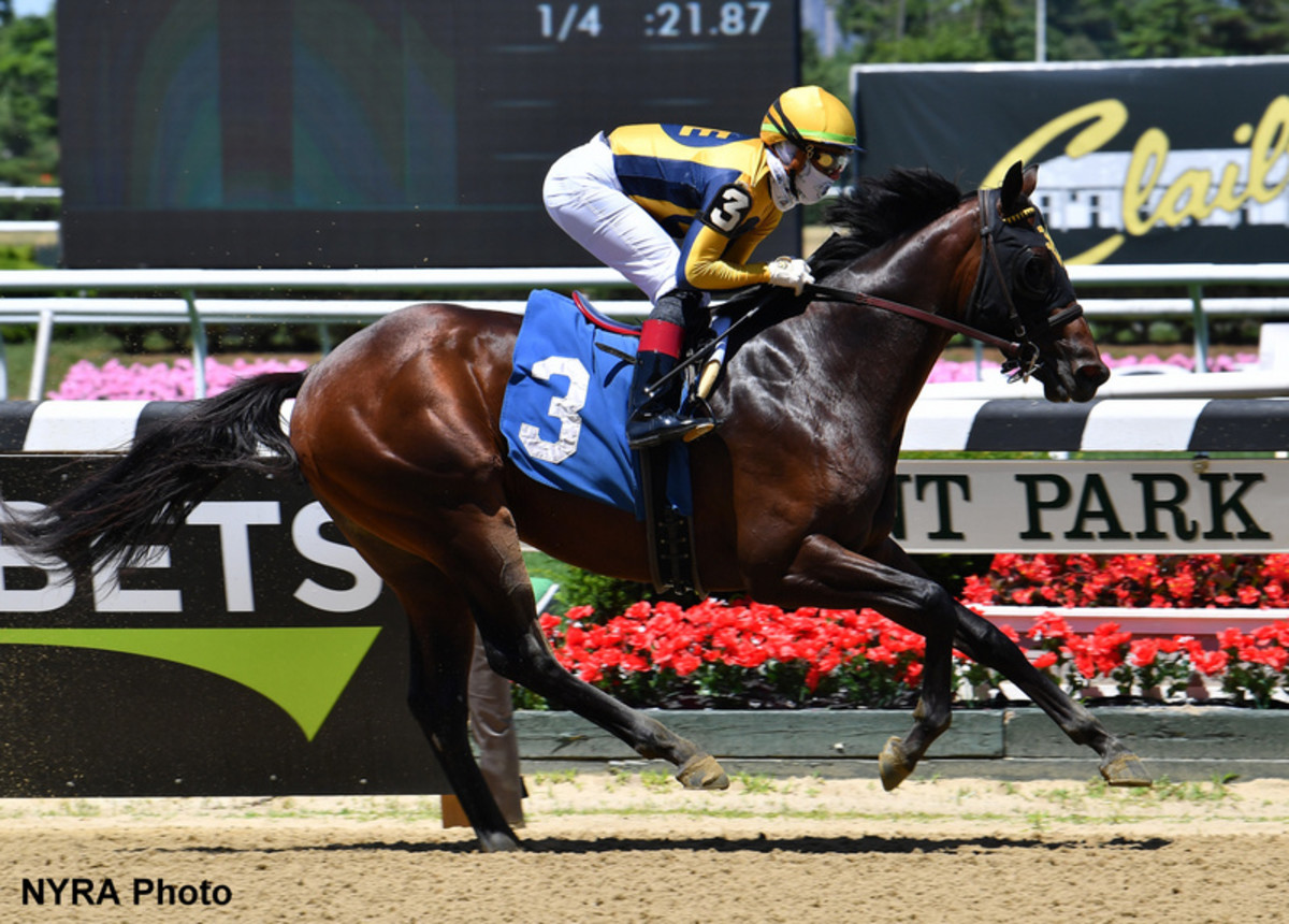 Wesley Ward Ships Live Chance To Del Mar For Saturday's Best Pal ...