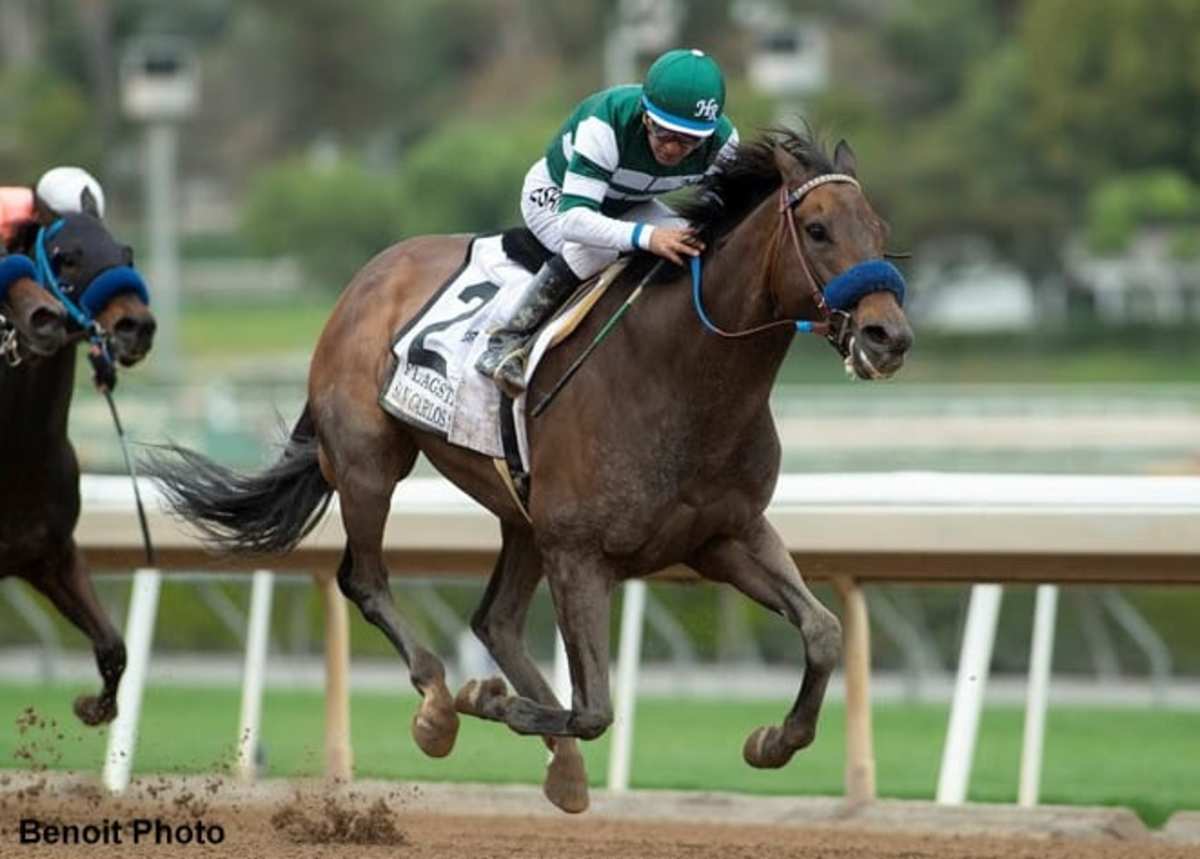 Flagstaff Faces Giant Expectations In 'Win And You're In' Pat O'Brien ...