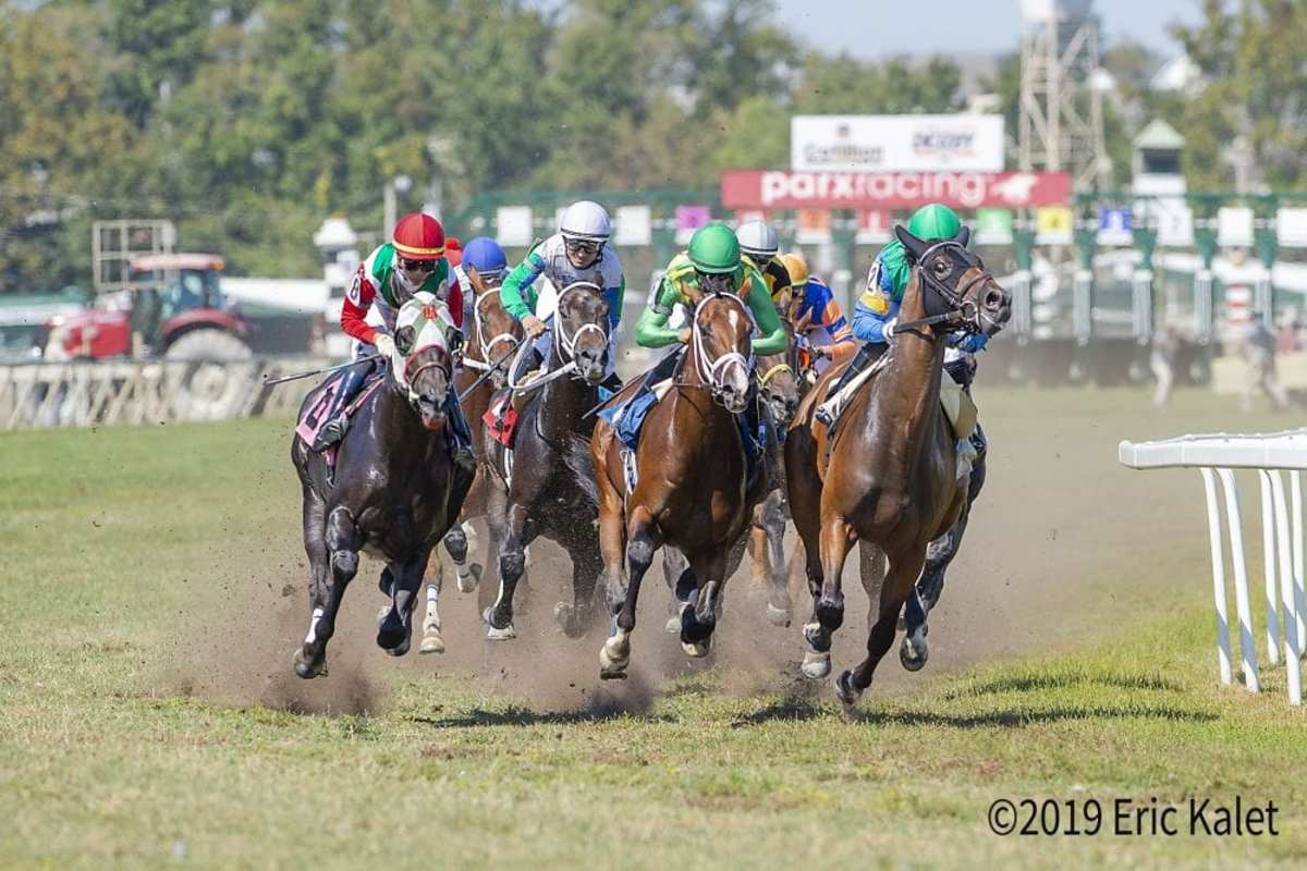 With To-Do List In Place, Parx Aiming To Resume Turf Racing Sept. 16 ...