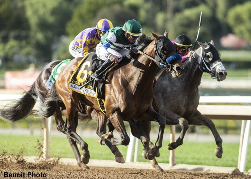 Combatant Gives Sadler, Hronis Third Straight Big 'Cap Triumph ...