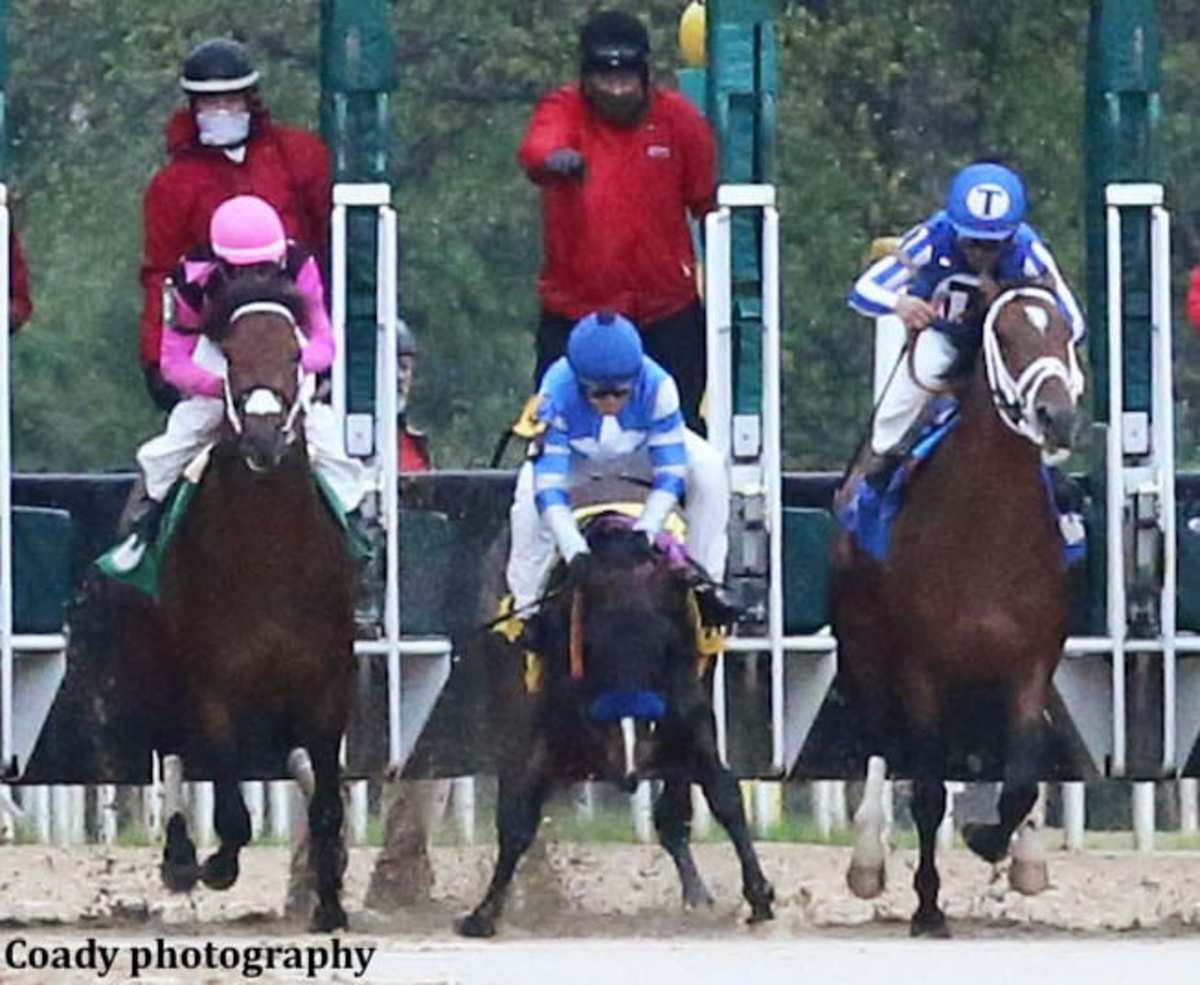 Mr. Big News Registers 46-1 Shocker In Oaklawn Stakes - Paulick Report ...