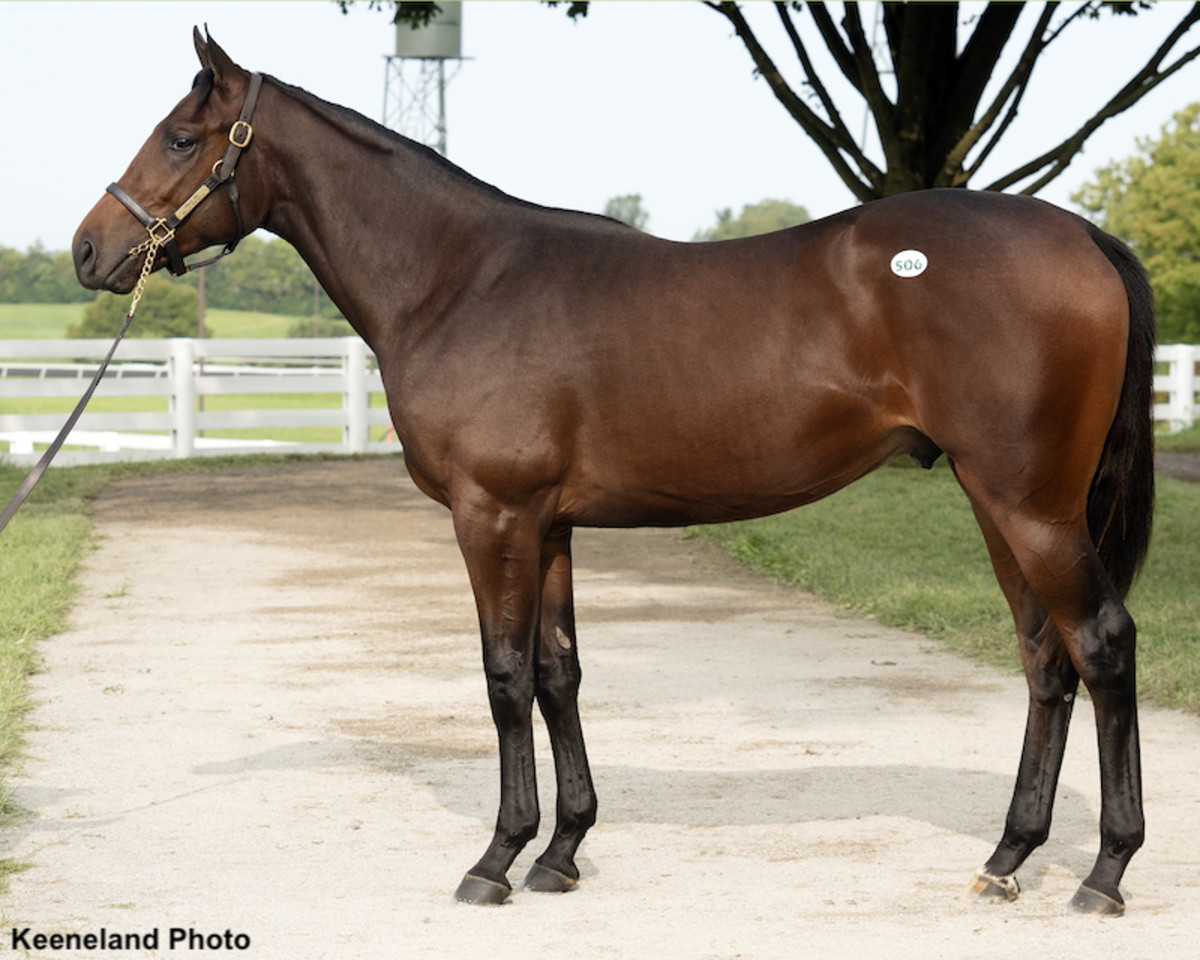$950,000 Uncle Mo Colt Highlights Third Session Of Keeneland September ...
