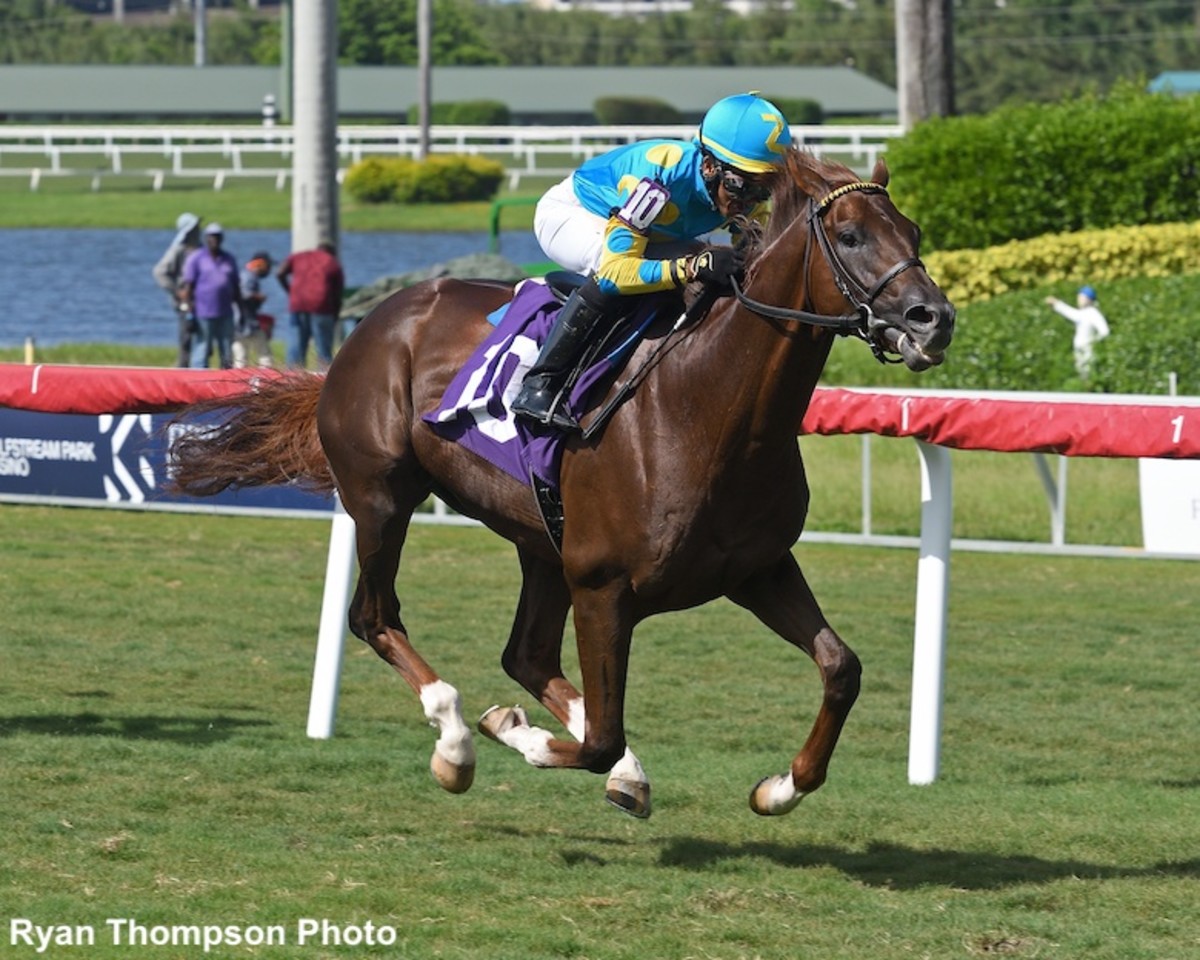 Analysis: Fasig-Tipton Racing Age Sale Marked Latest Chapter Of Lengthy ...