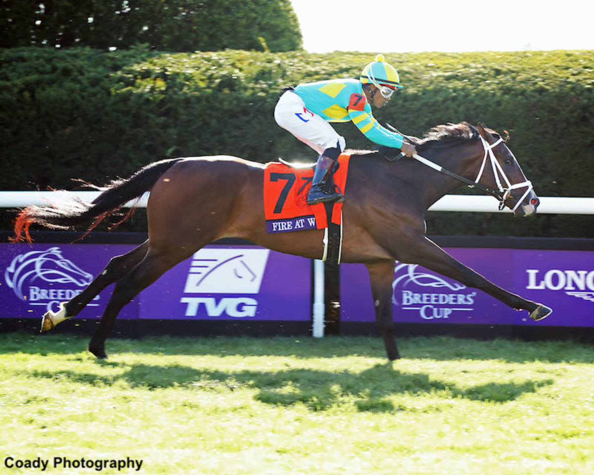 Fire At Will To Enter Stud At Sequel New York In 2023 - Paulick Report ...