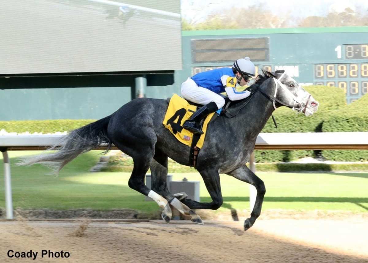 'Off To A Good Start': Knicks Go Impresses In 2020 Debut For New ...