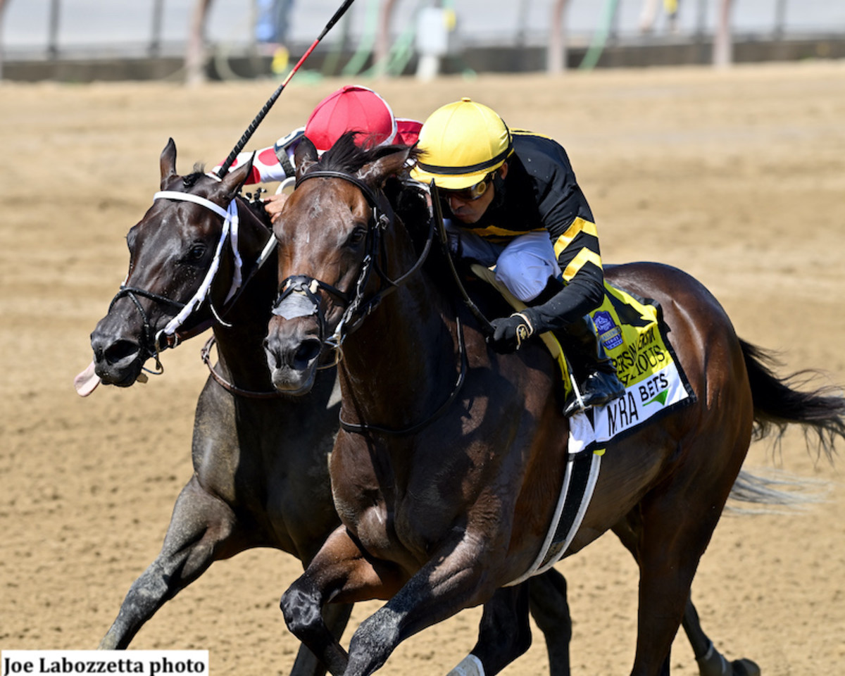 Vexatious, True Timber Work Toward Breeders' Cup Assignments At ...
