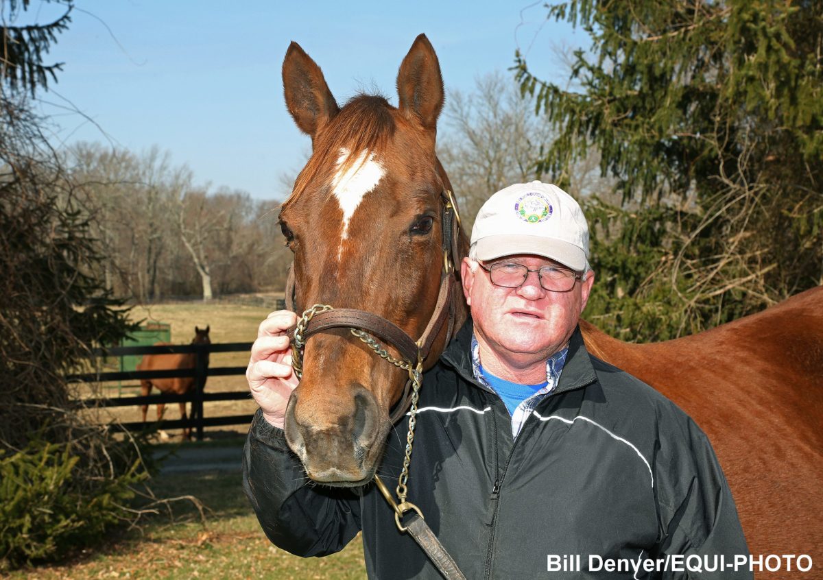 'Everything Has Come Together This Year' For Jersey-Based Trainer Rory ...
