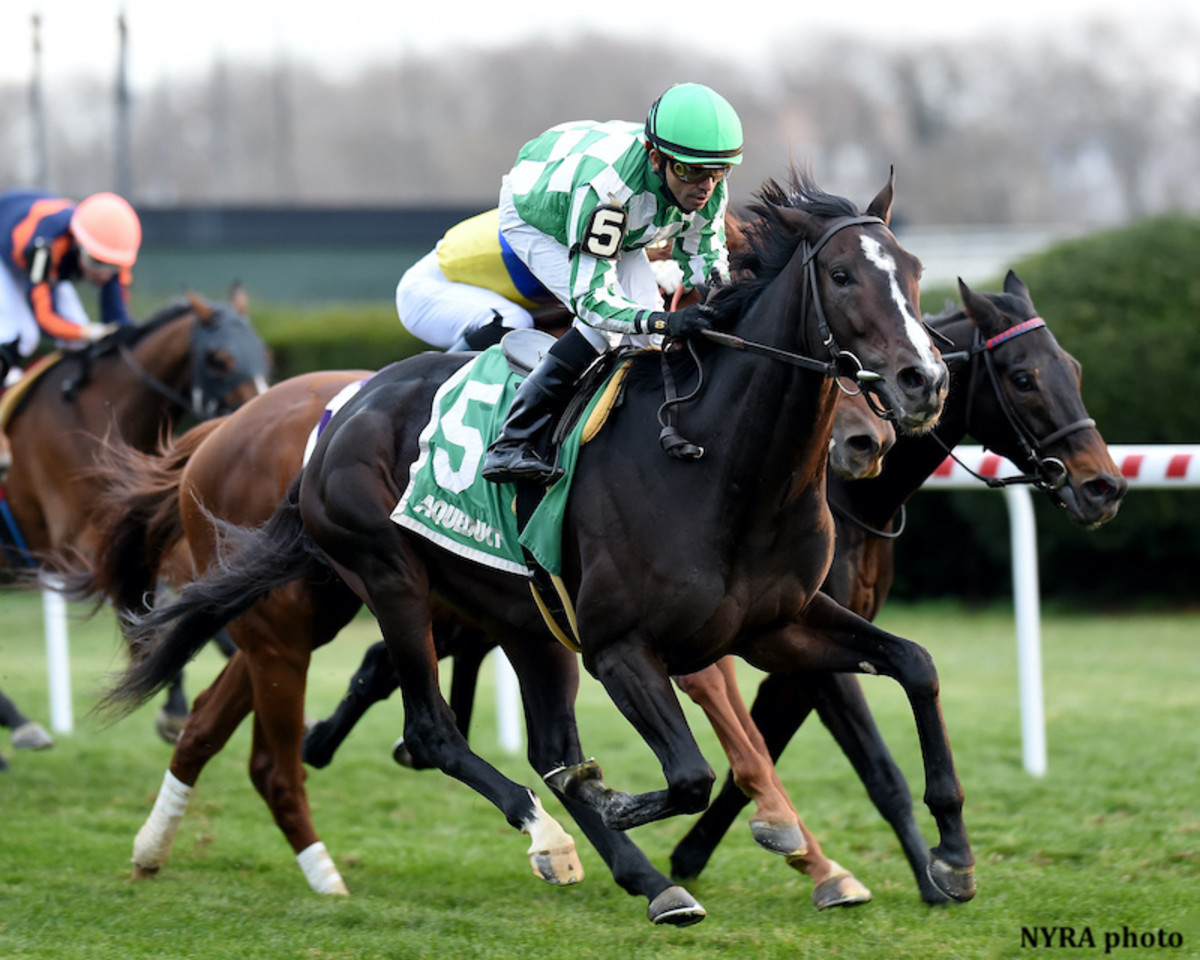 McGaughey Has Pegasus World Cup, Pegasus Turf On Radar For Code Of ...