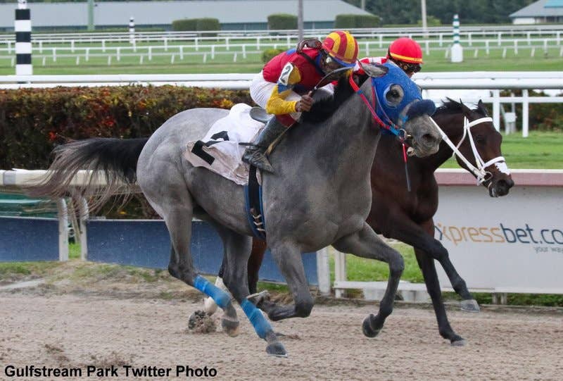 Young, Jamaican-Born Trainer Williams Will Saddle His 'Dream' In ...