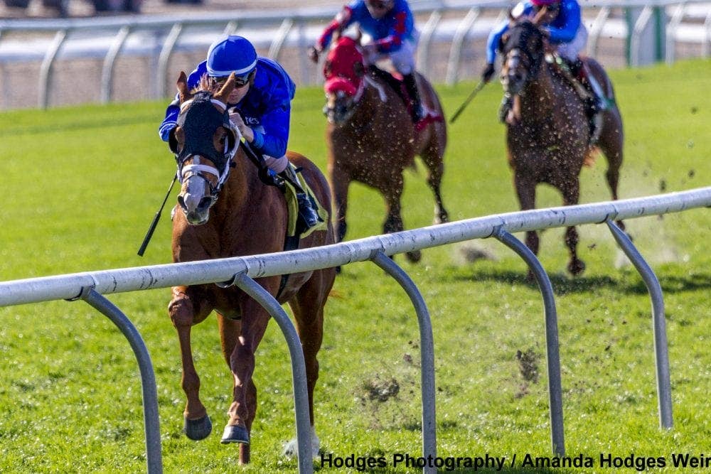 Cox Trainee Hieronymus Impresses In Saturday's Randy Romero Memorial ...