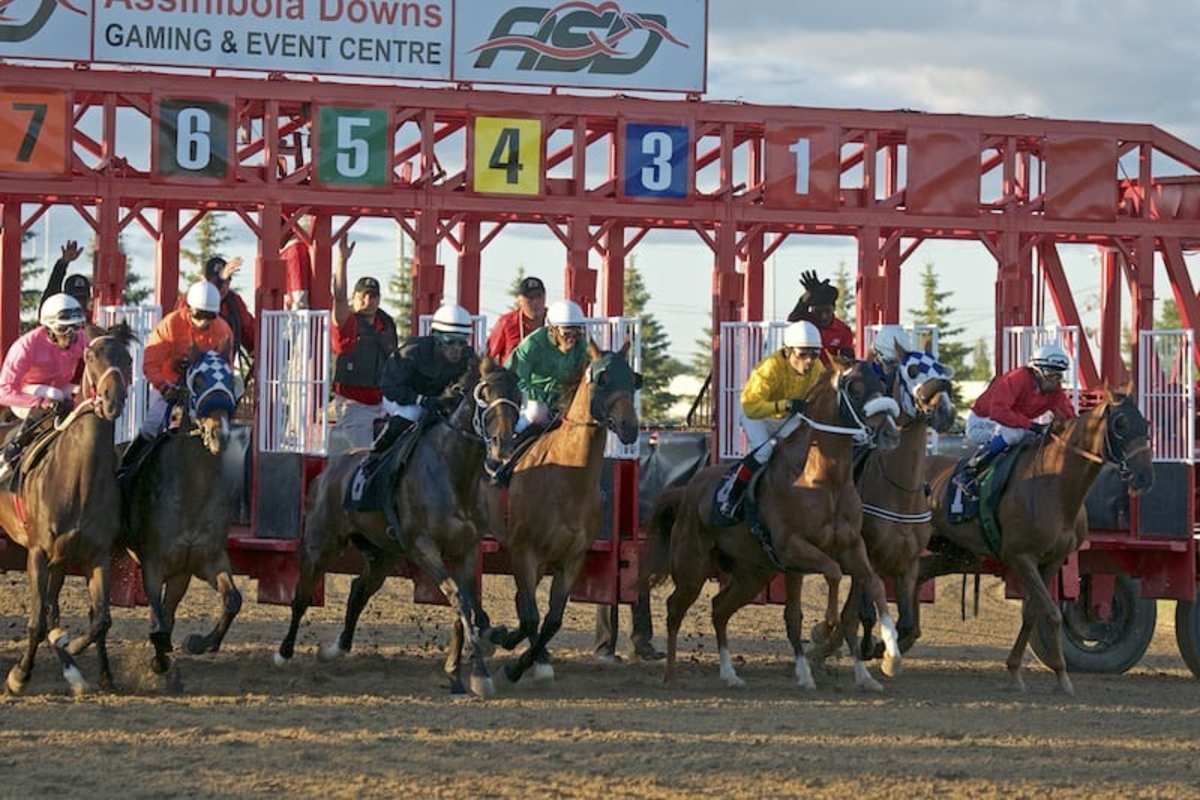 Assiniboia Downs: Tuesday Night Mandatory Payout With $420,542 In Pick ...