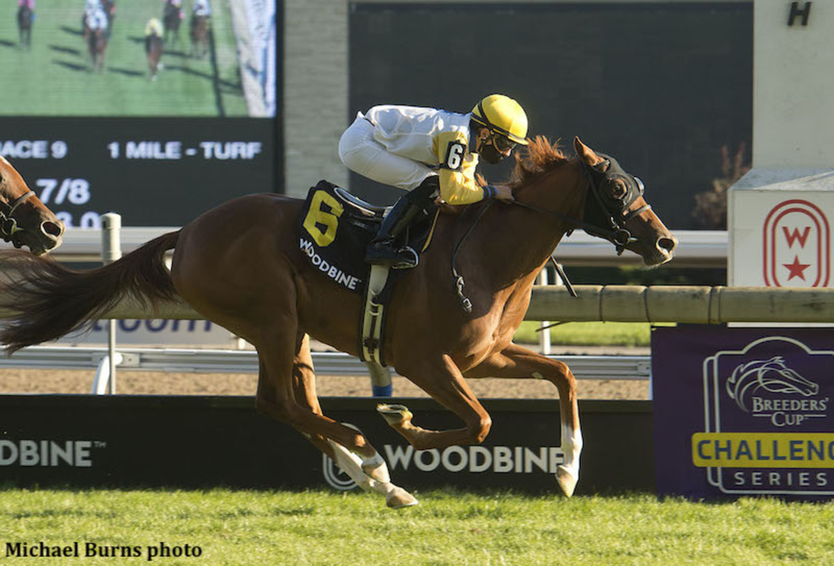 After Some Drama In Starting Gate, Lady Speightspeare Relaxes, Wins ...