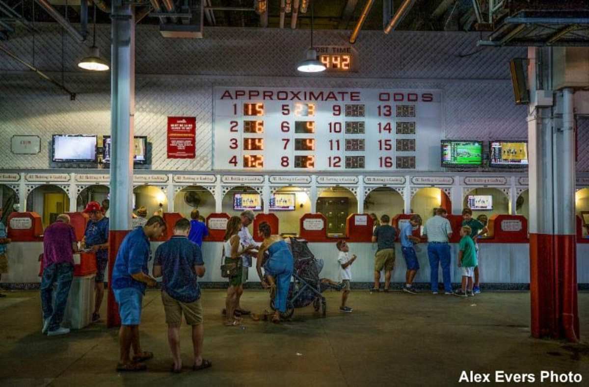 Thoroughbred Idea Foundation: Racing Needs A Better Wagering Ecosystem ...