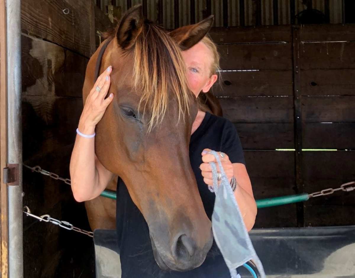 DNA Testing Brings Retired Racemare Back To Front Back Home Again ...