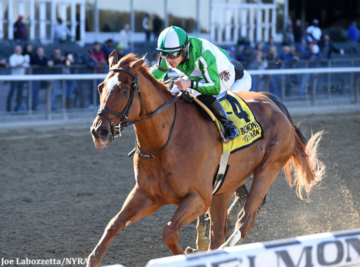 Mr. Buff 'Seems To Be Holding His Form,' Could Try Cigar Mile - Paulick ...
