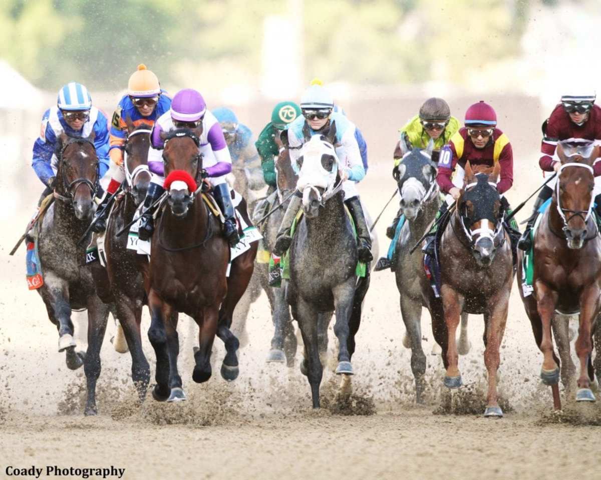 New Free Fantasy Horse Racing Contest Launches For 2020 Triple Crown ...