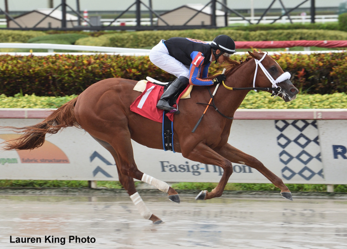 Flashy 2-Year-Old Drain The Clock Making 'Next Move Forward' In ...