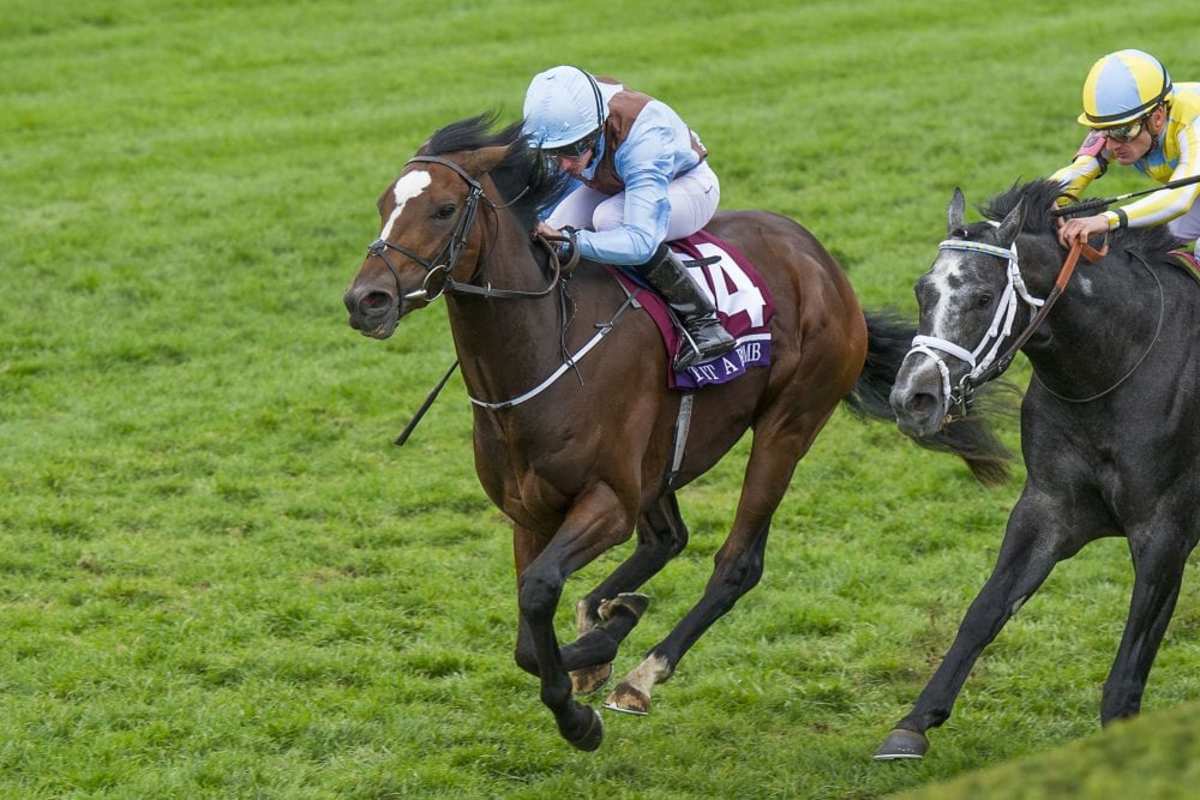 Hit It A Bomb Shuttling To Argentina For 2020 Southern Hemisphere ...