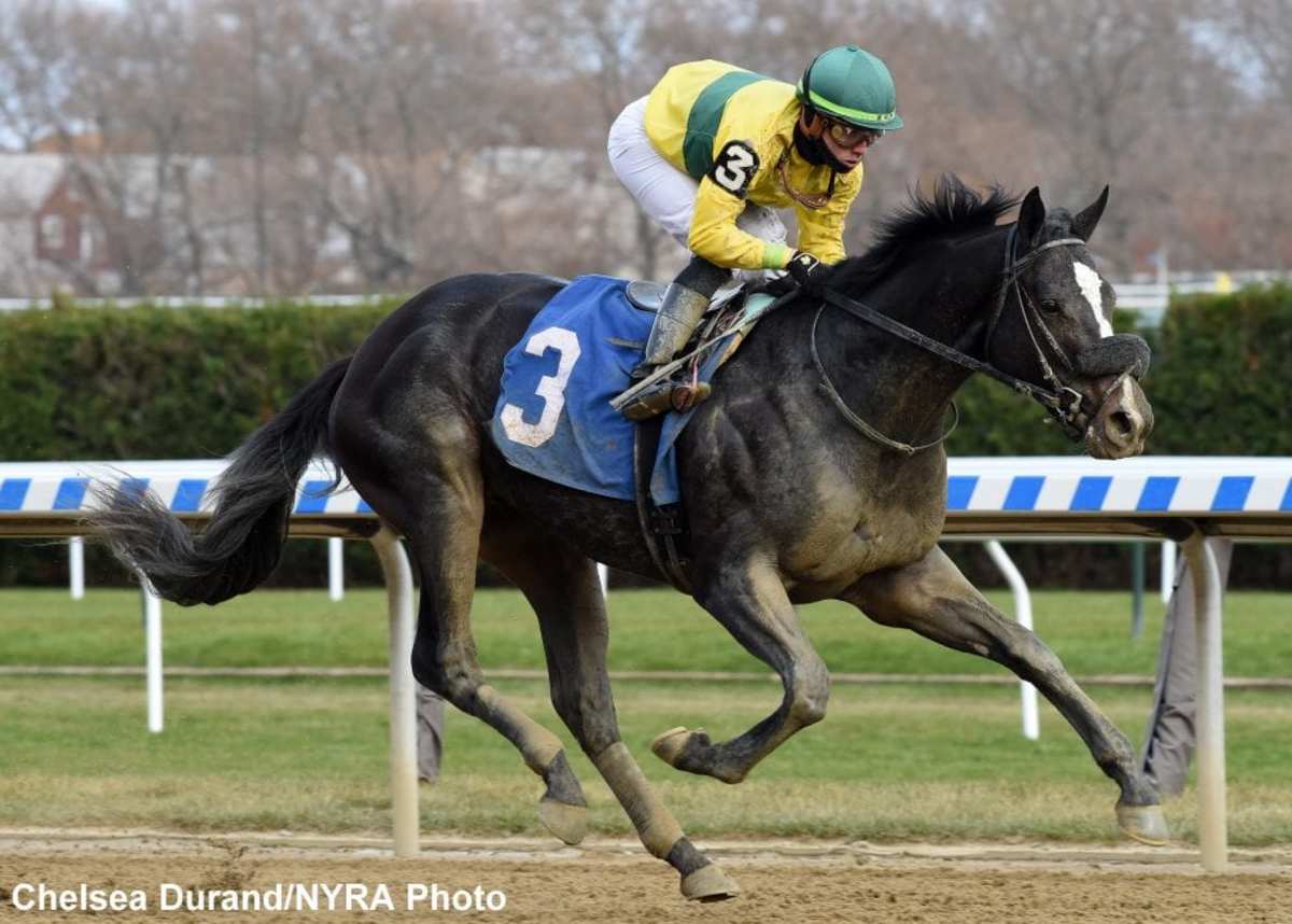 Smarty Jones Runner-Up Three Technique Should Improve On Fast Track ...