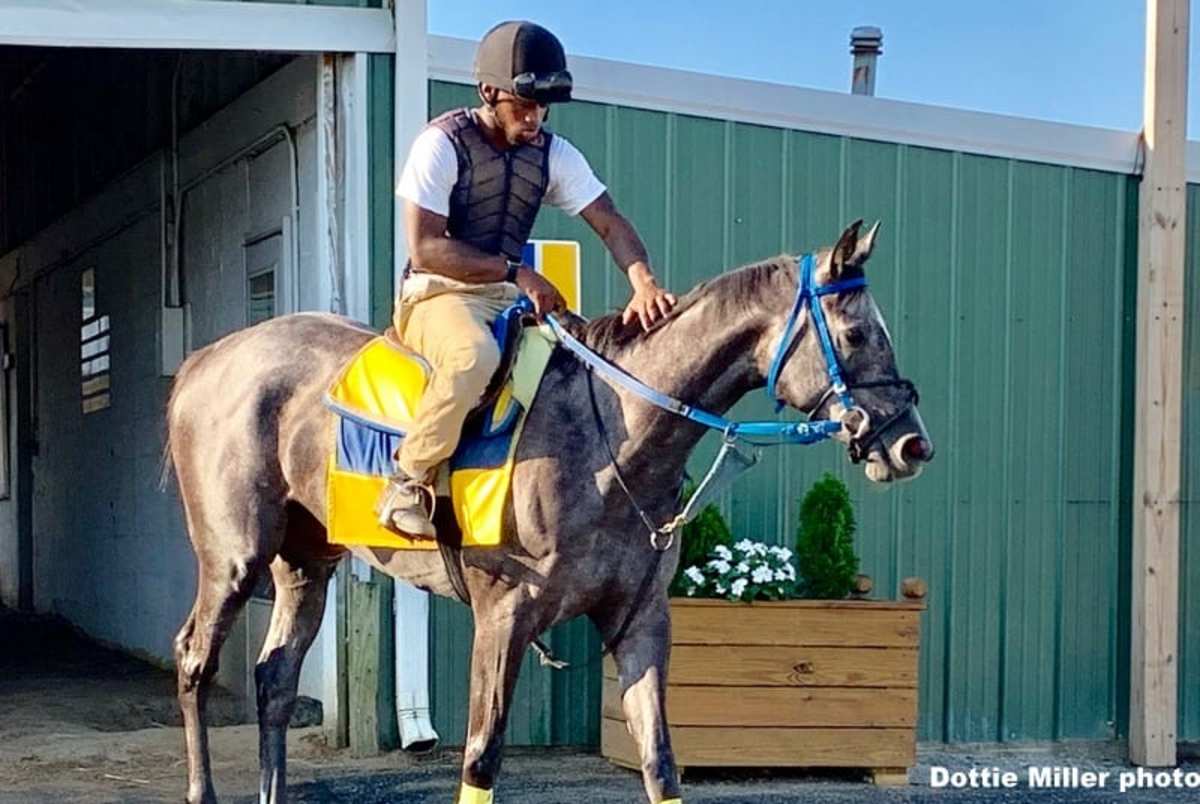 Kirkpatrick & Co. Presents In Their Care: Merritt 'A Gem' From The ...