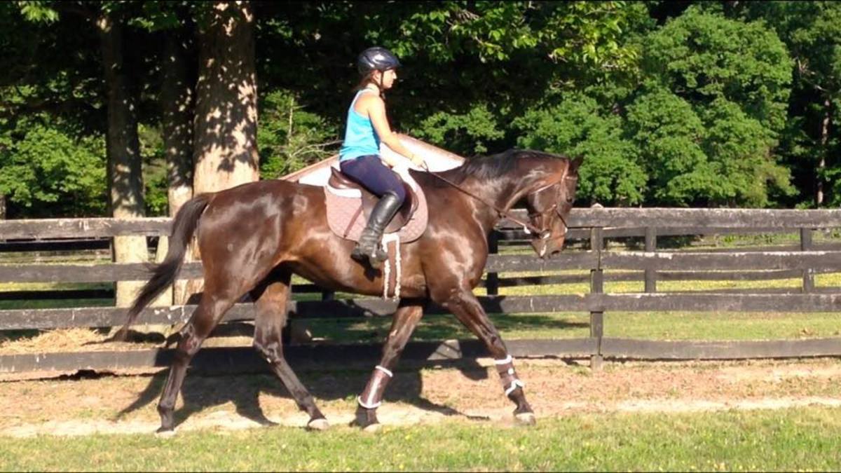 Lost And Found Presented By LubriSYN: Fifteen Years After Famous Jostle ...