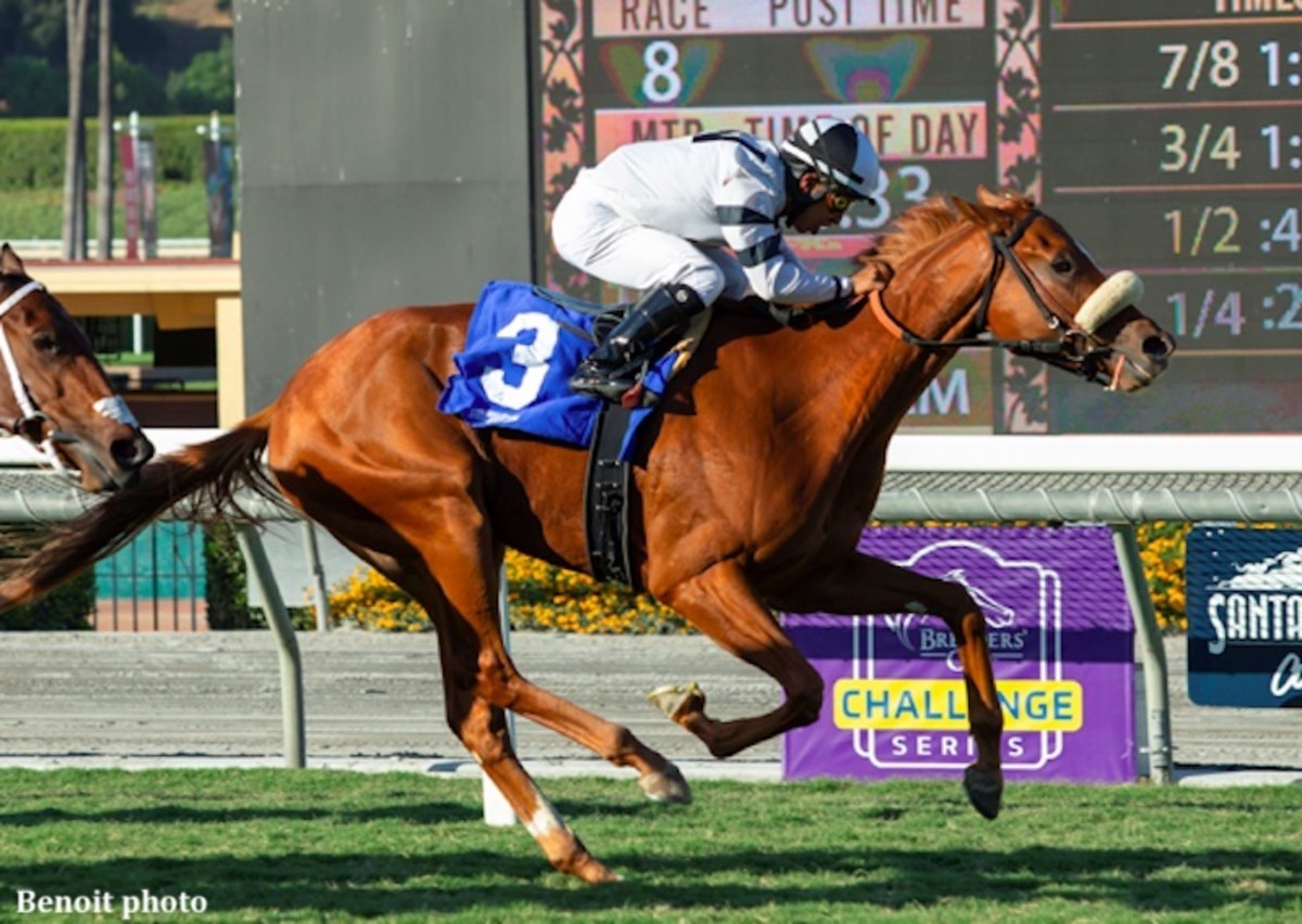 Prat Takes Over On Warren's Showtime For Autumn Miss Stakes - Paulick ...