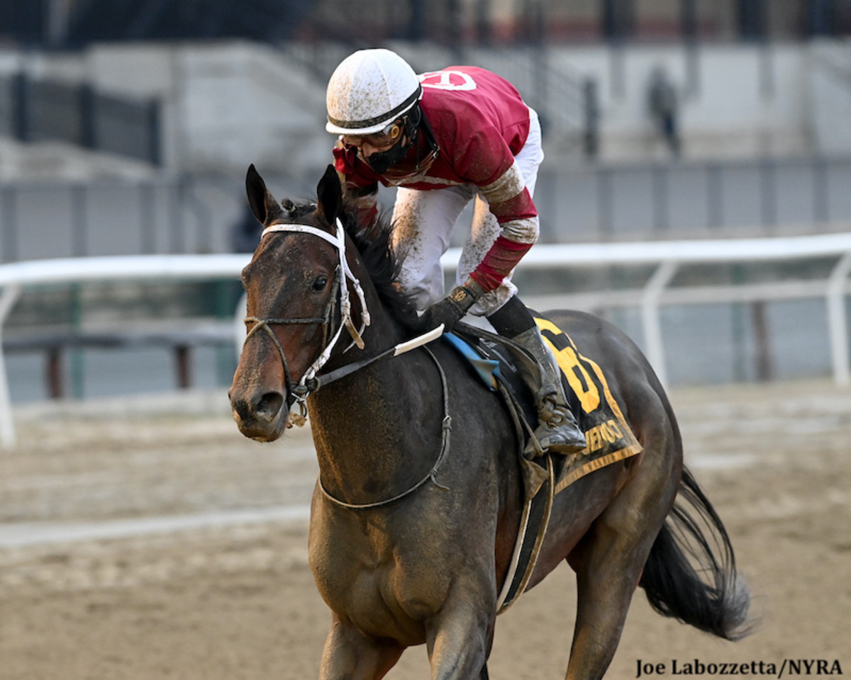 Big Apple Showcase Day: New York Breds In The Spotlight Monday At ...