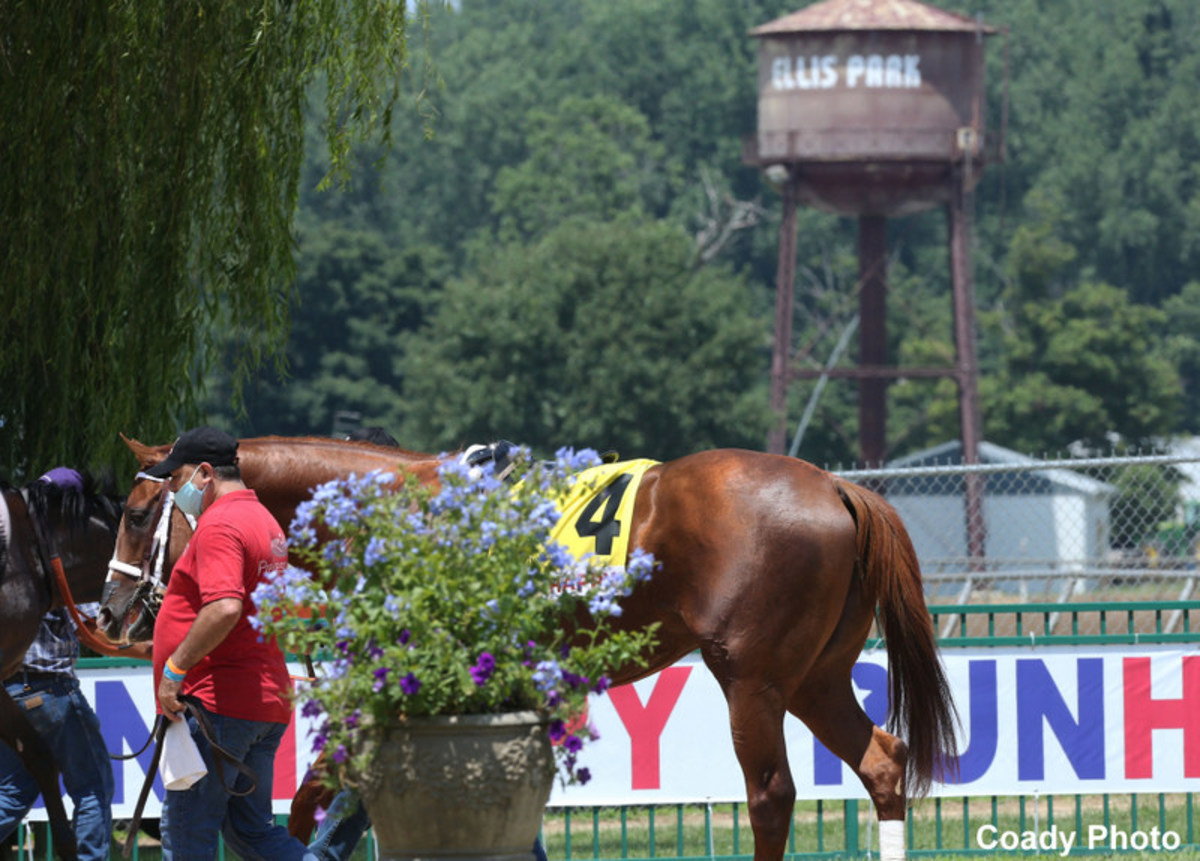 Ellis Park Announces 20% Purse Increase, Effective Aug. 14 - Paulick ...