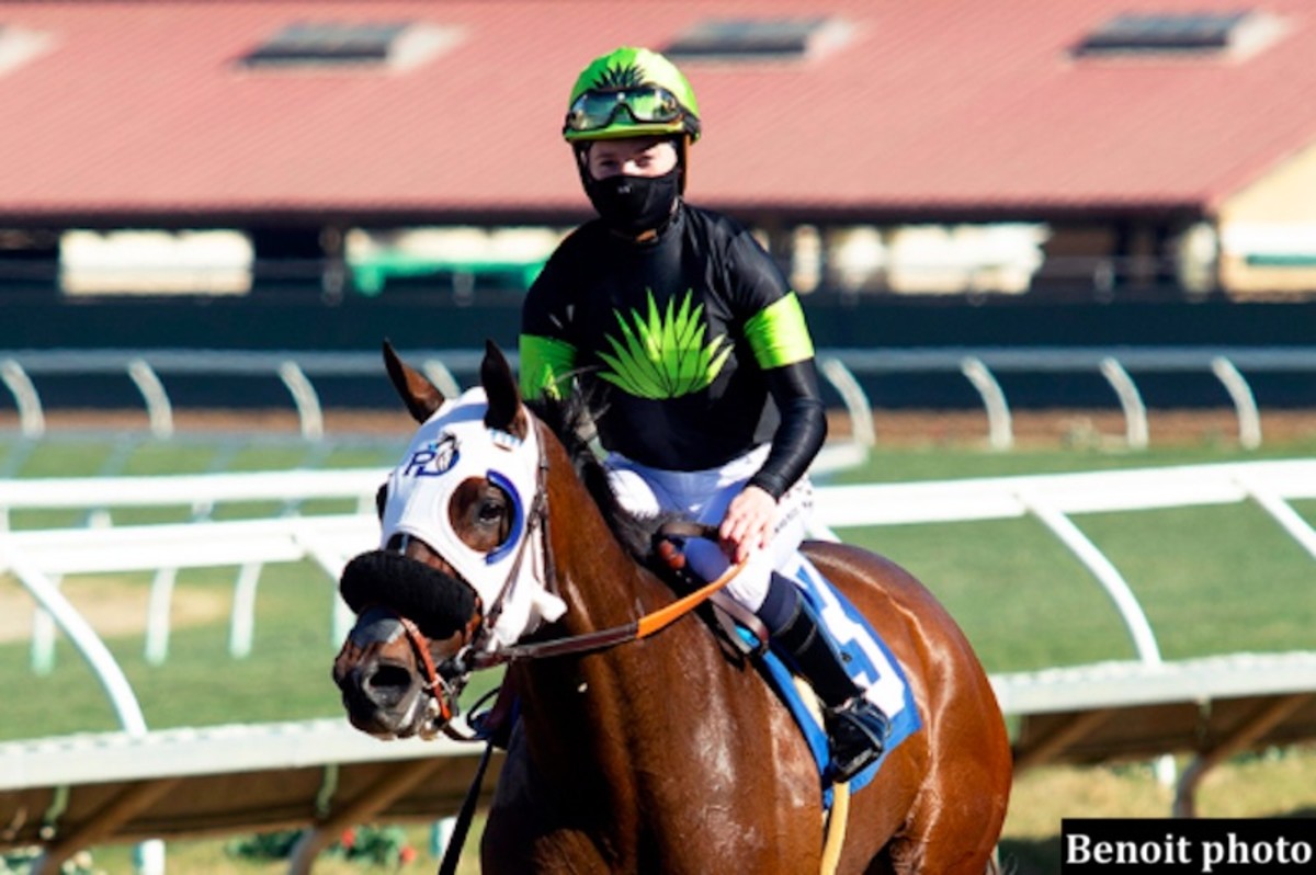 'I've Exceeded My Expectations': Apprentice Pyfer Finds Herself In The ...