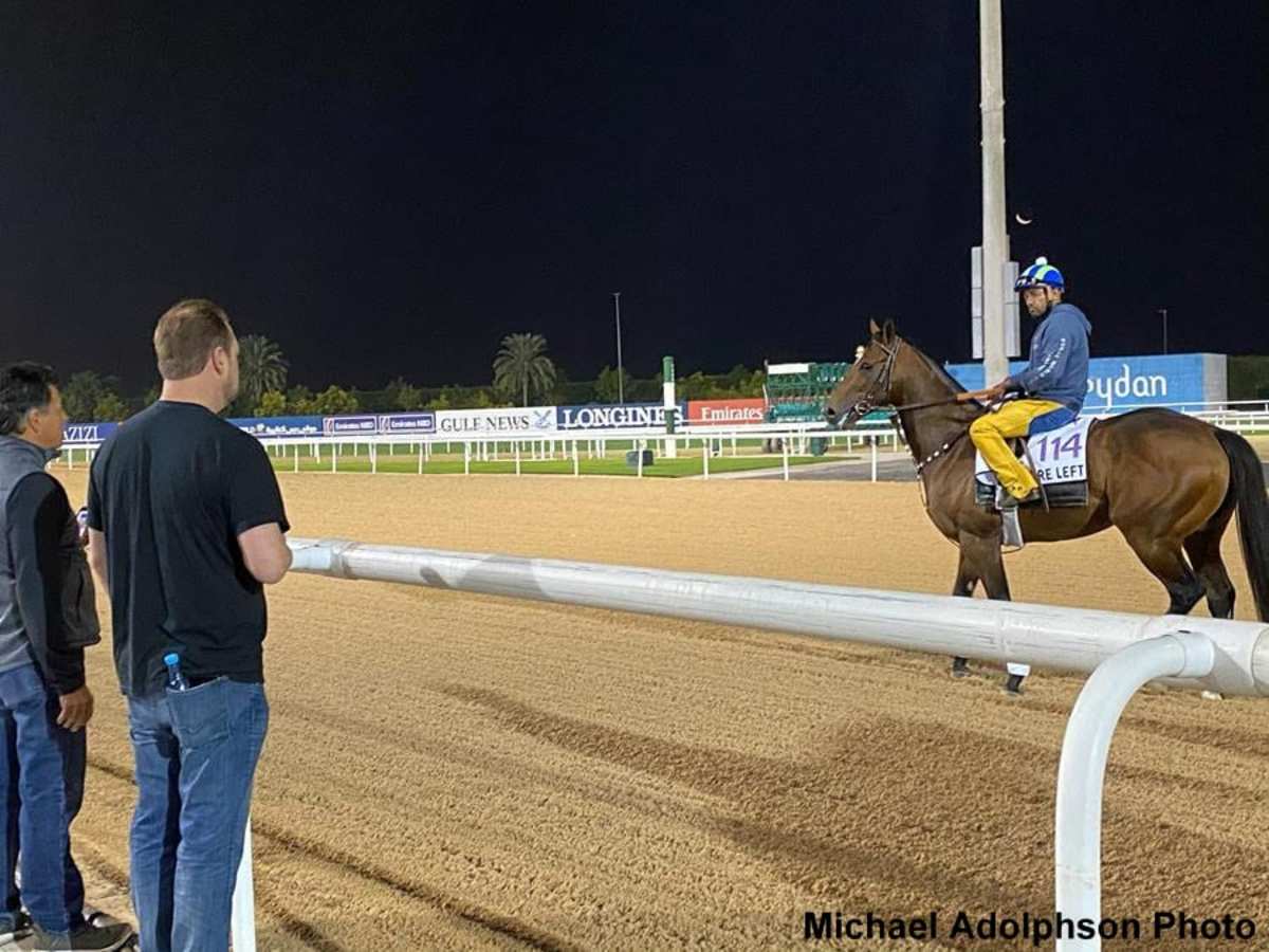 'Exceptional' Workouts Have Fore Left Ready For Belmont Stakes ...