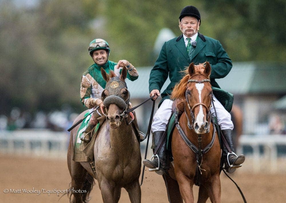 Breeders' Cup Distaff Winner Blue Prize To Visit Into Mischief For ...