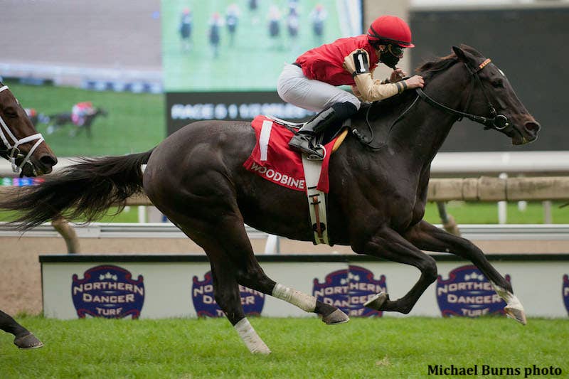 Say The Word Closes Late For Northern Dancer Turf Stakes Victory ...