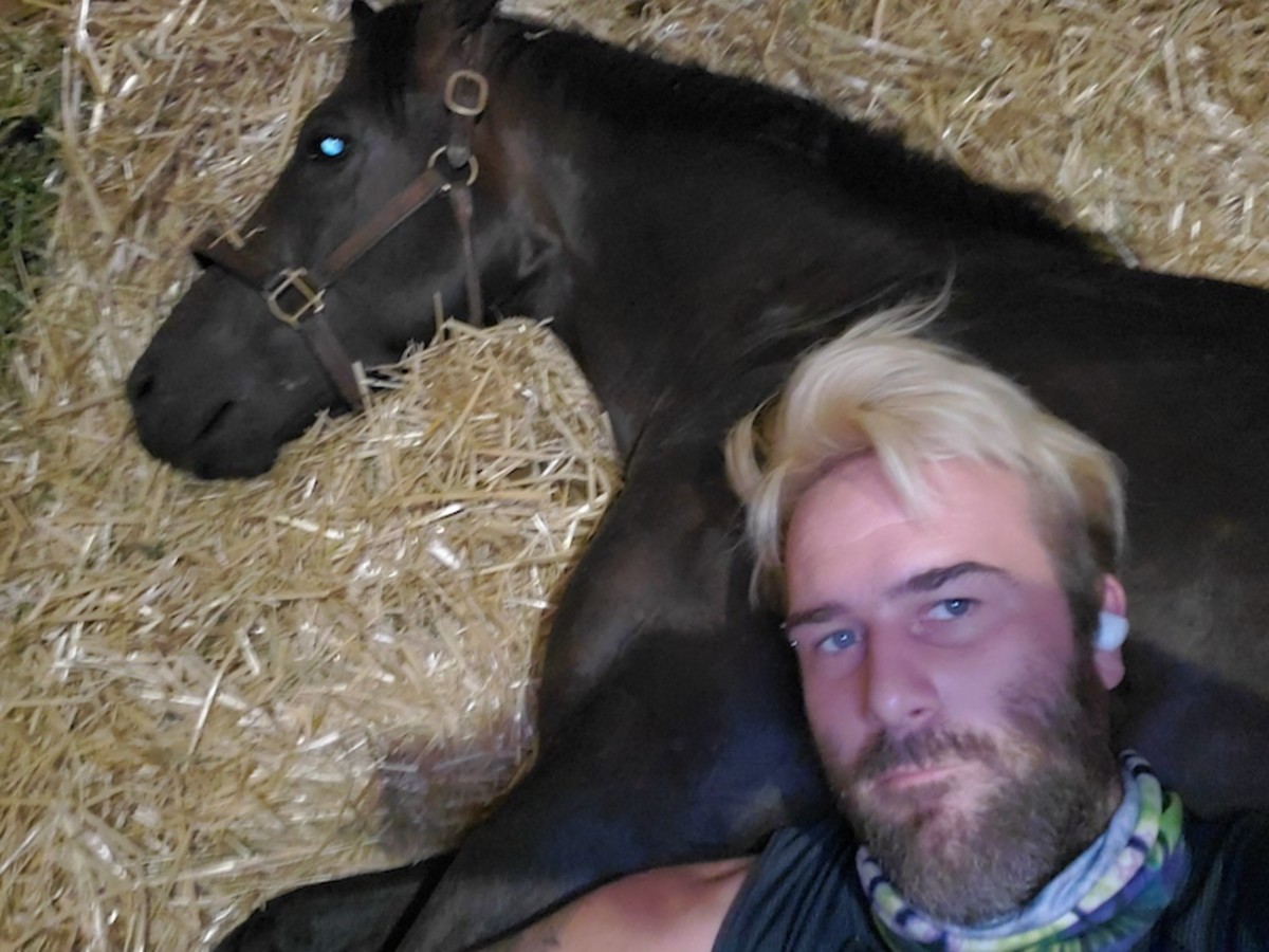 Kirkpatrick & Co Presents In Their Care: For Enger, Horses Provide ...