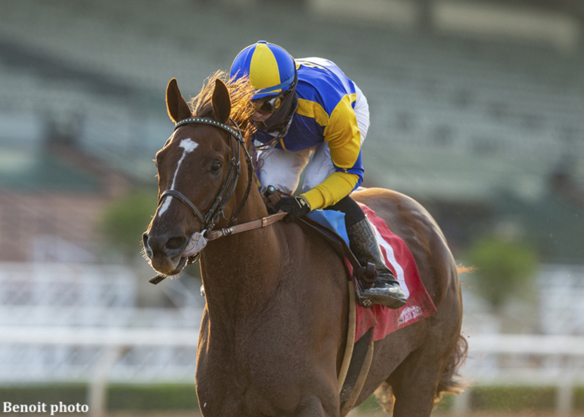 Popular At Claim Box, Cupid's Claws Finds Marathon Distance To His ...