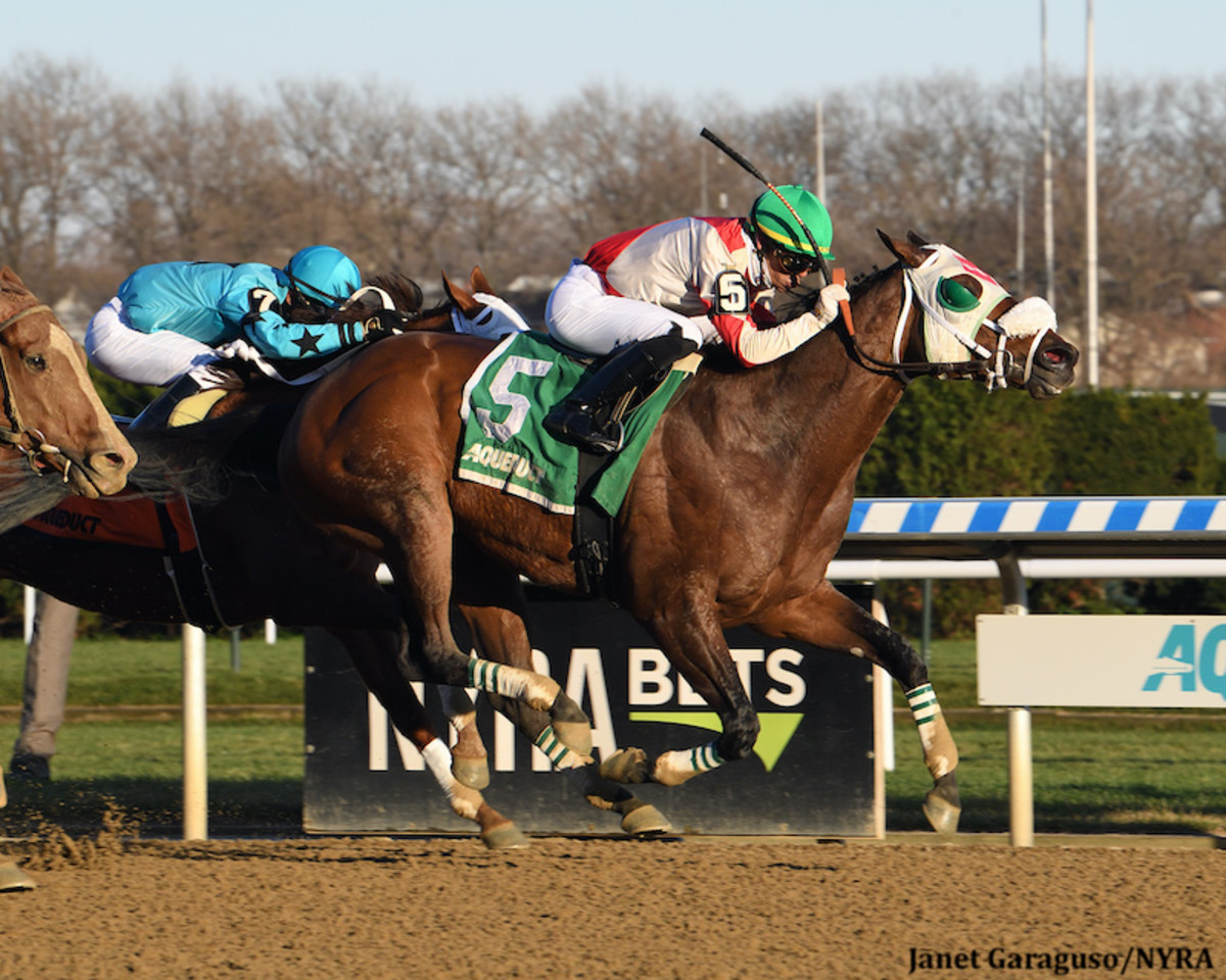 Share The Ride Wins Fall Highweight Handicap After Quick Turnaround ...