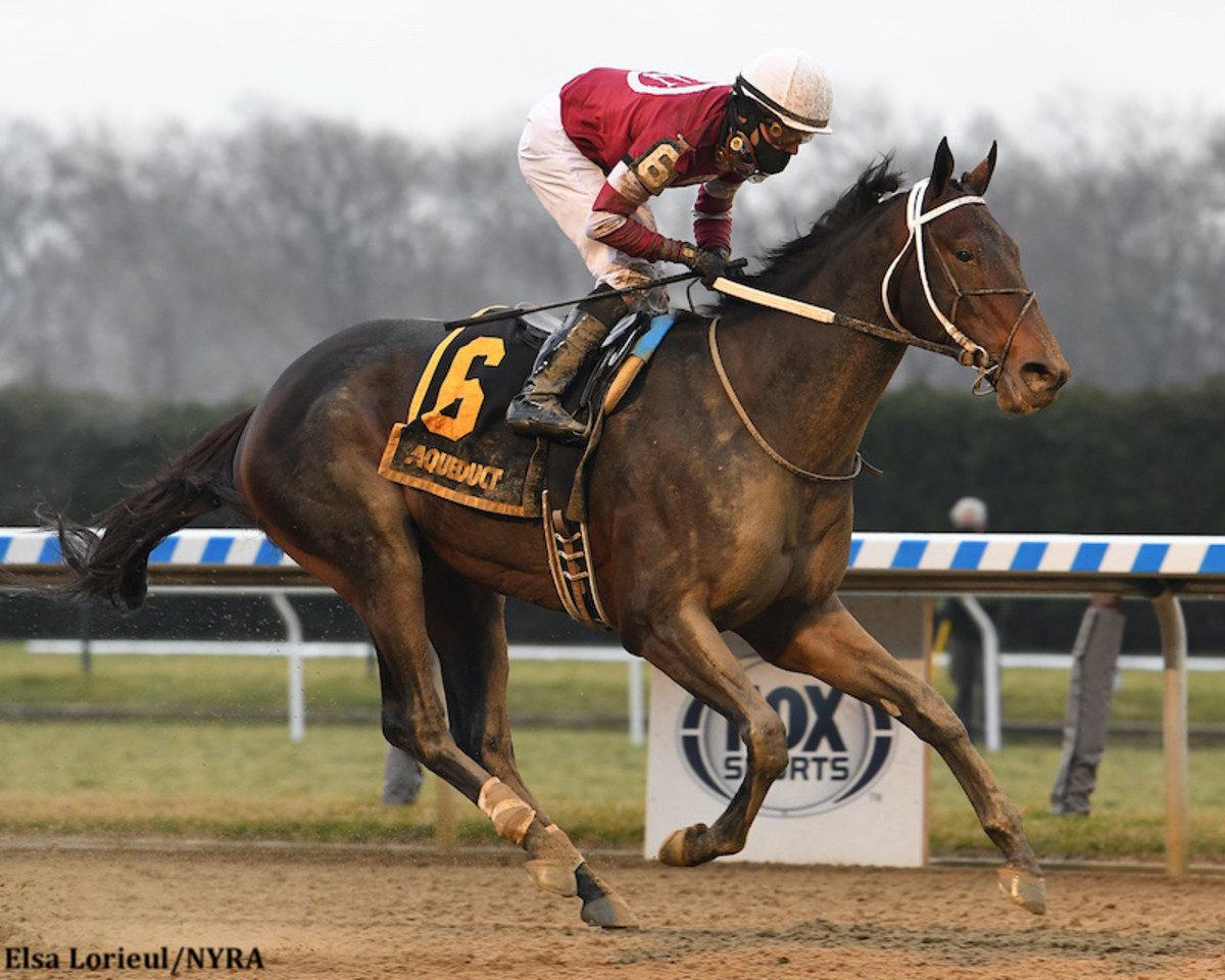 Bankit Ends Win Drought, Defeats Mr. Buff In Alex M. Robb - Paulick ...