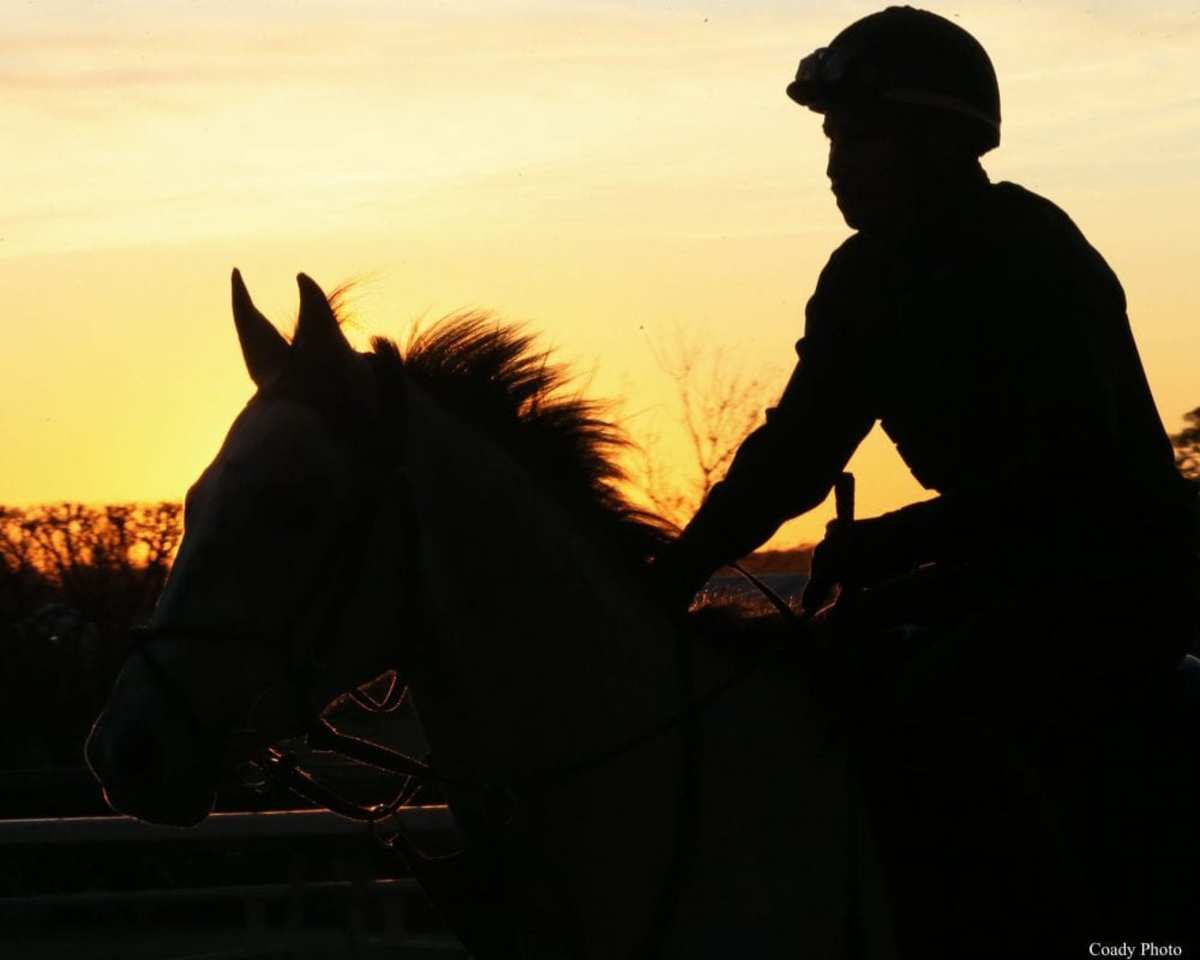 Kentucky EHV-1 Outbreak: Five New Positives At Training Center ...