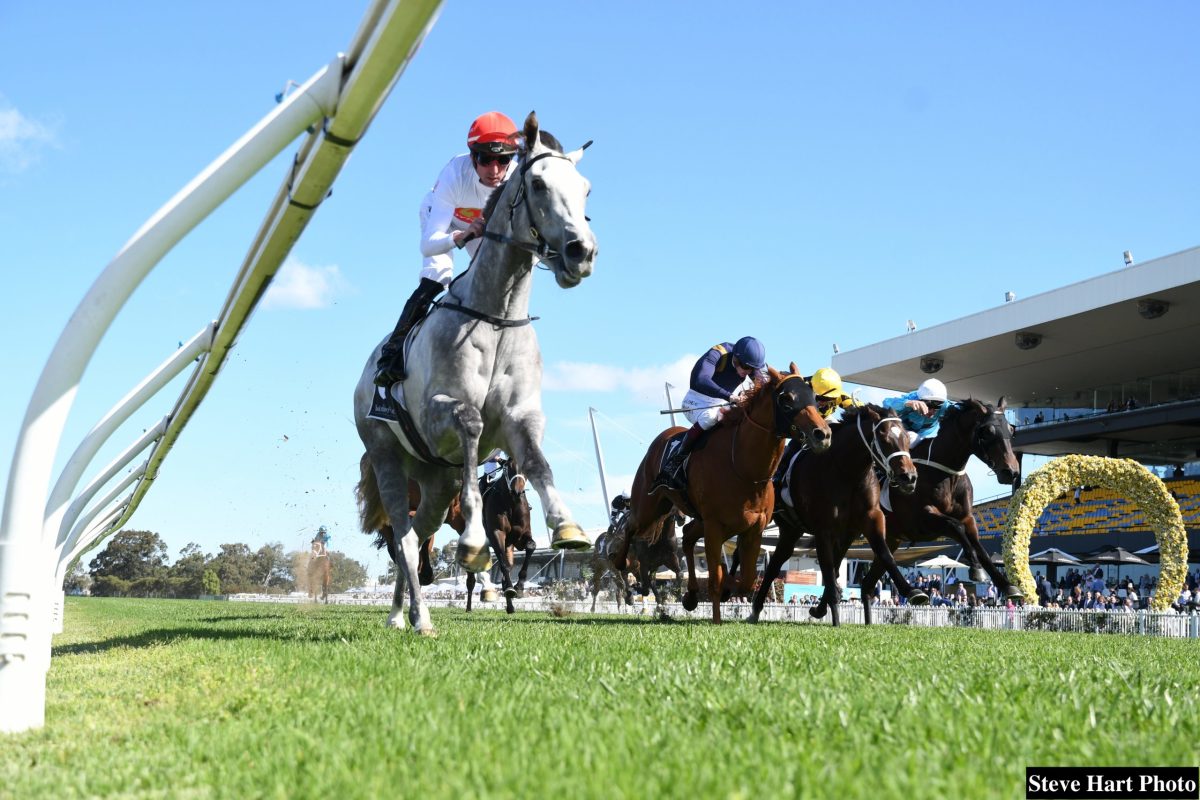 Australia: Undefeated Tapit Gelding Love Tap Favored In Spring Champion ...