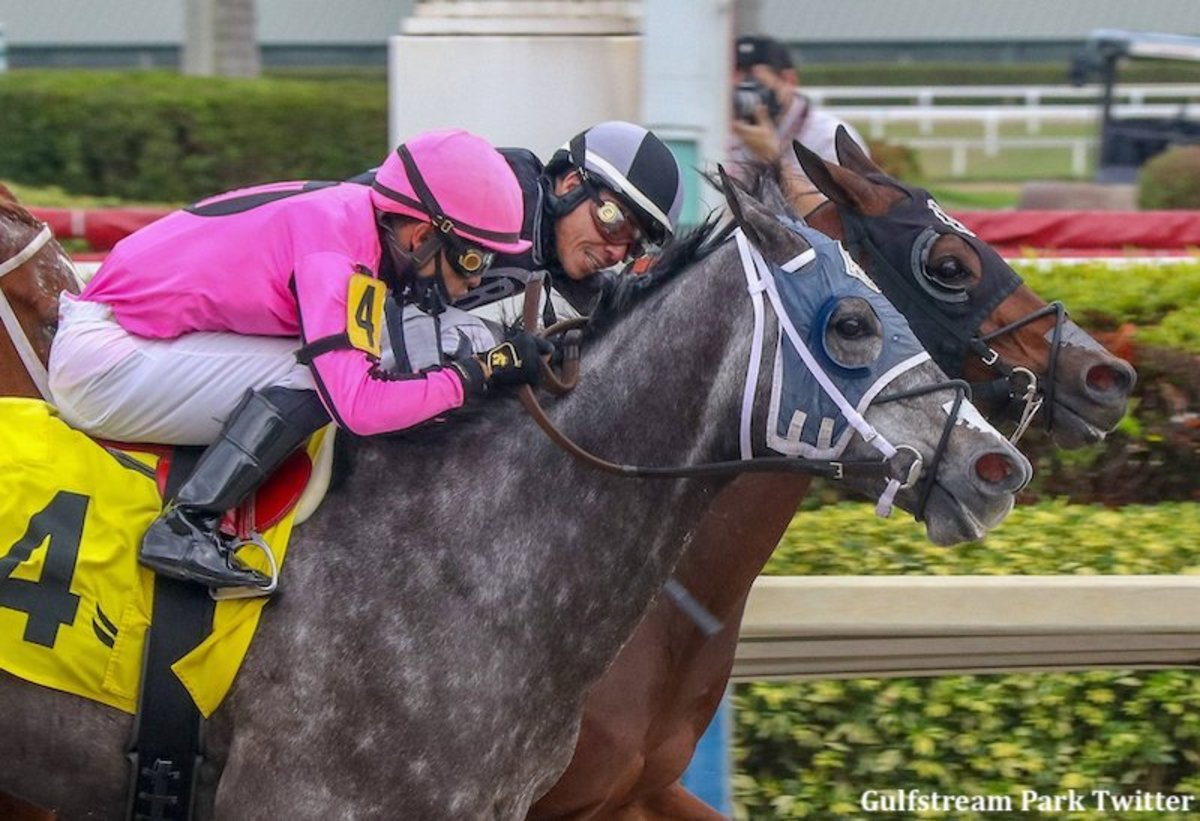 Lady's Island Successfully Defends Title In Sugar Swirl At Gulfstream ...