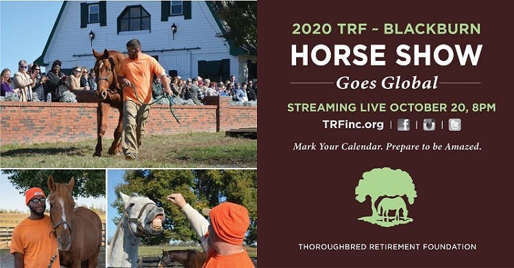 TRF Blackburn Horse Show Highlights Impact Of TRF Second Chances ...