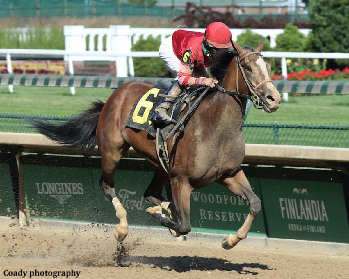 $88,940 Payout In Cross Country Pick 5 Featuring Belmont, Churchill ...