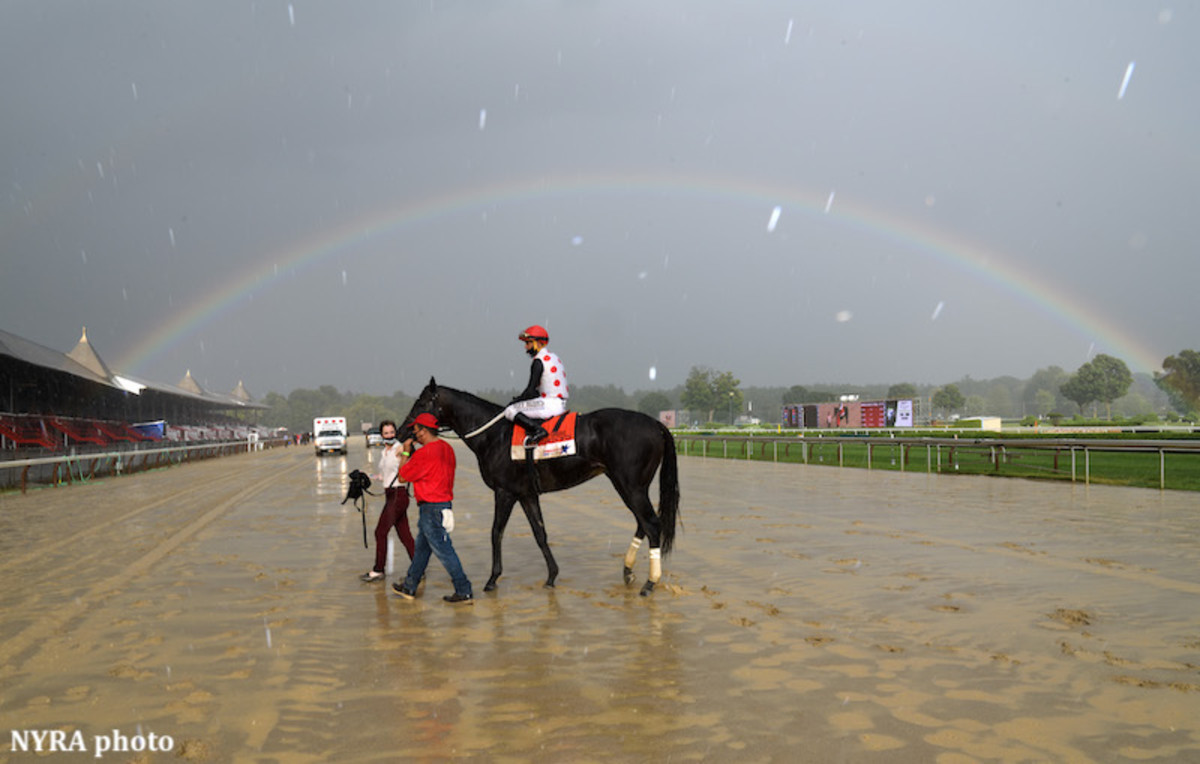 Win Win Win Strikes Gold In Forego With Last-To-First Rally - Paulick ...