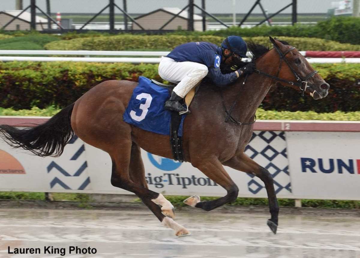 'Thrilled To Be There': Owner-Trainer Of Risen Star Scores With Hero Of ...