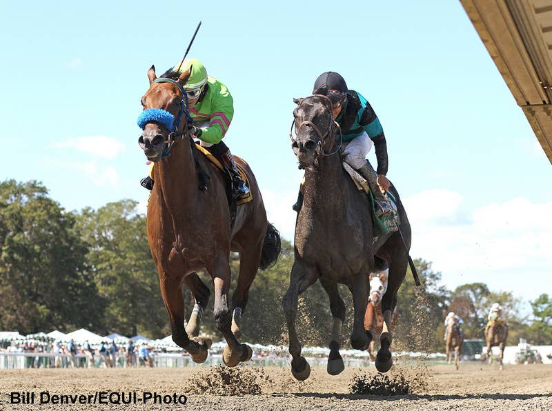 Prendimi Hangs On In Featured Charles Hesse II Handicap During New ...