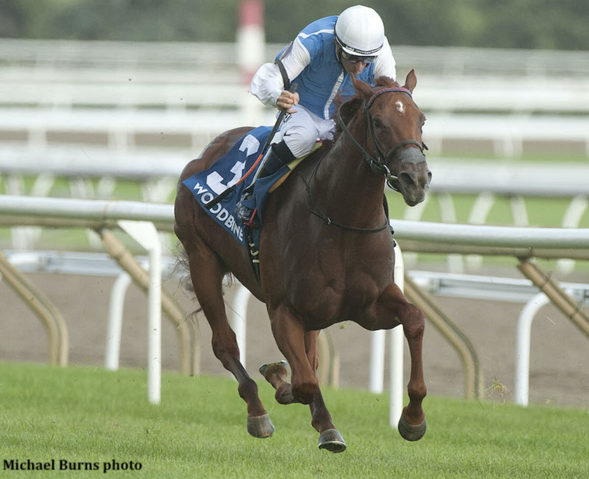 Gretzky The Great, Alda Score In Juvenile Turf Stakes At Woodbine ...