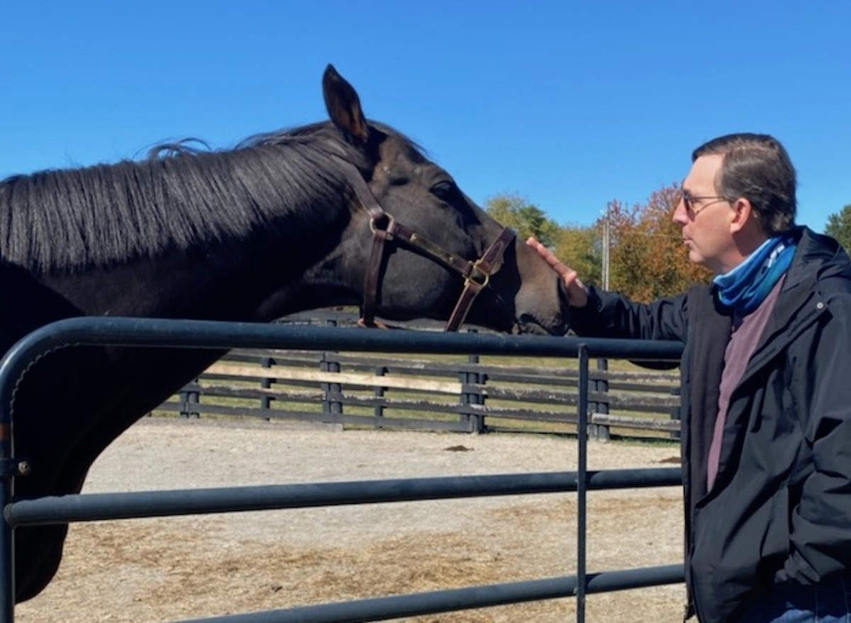 Breeders' Cup Buzz: The Rides Of A Lifetime - Paulick Report | Latest ...