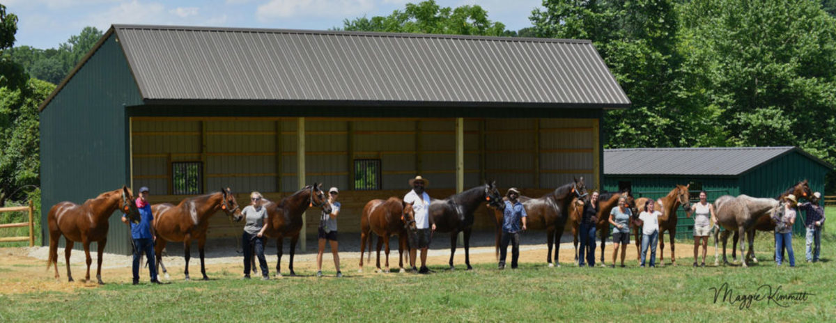 American Artist Jamie Wyeth Creates Thoroughbred Sanctuary In Honor Of ...
