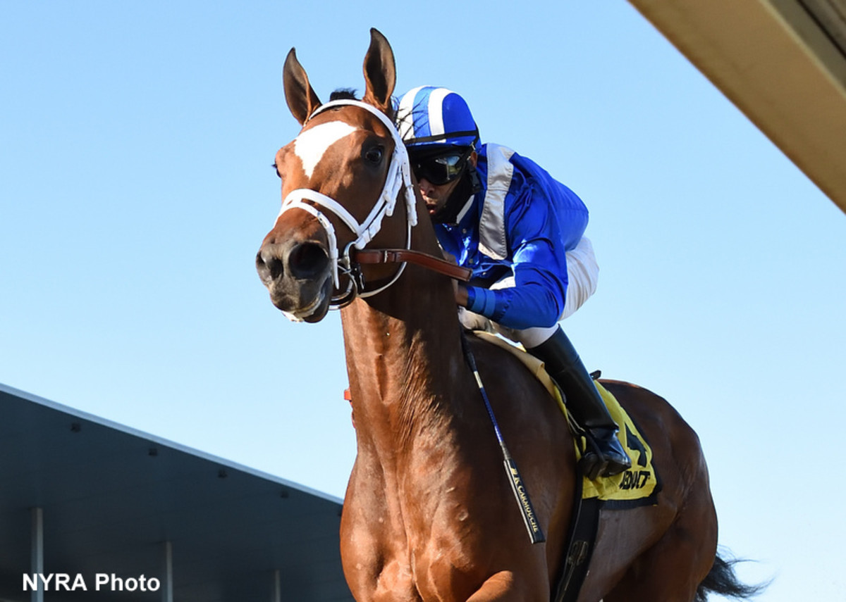 Road To The Kentucky Oaks: Streaking Malathaat Headlines Aqueduct's ...